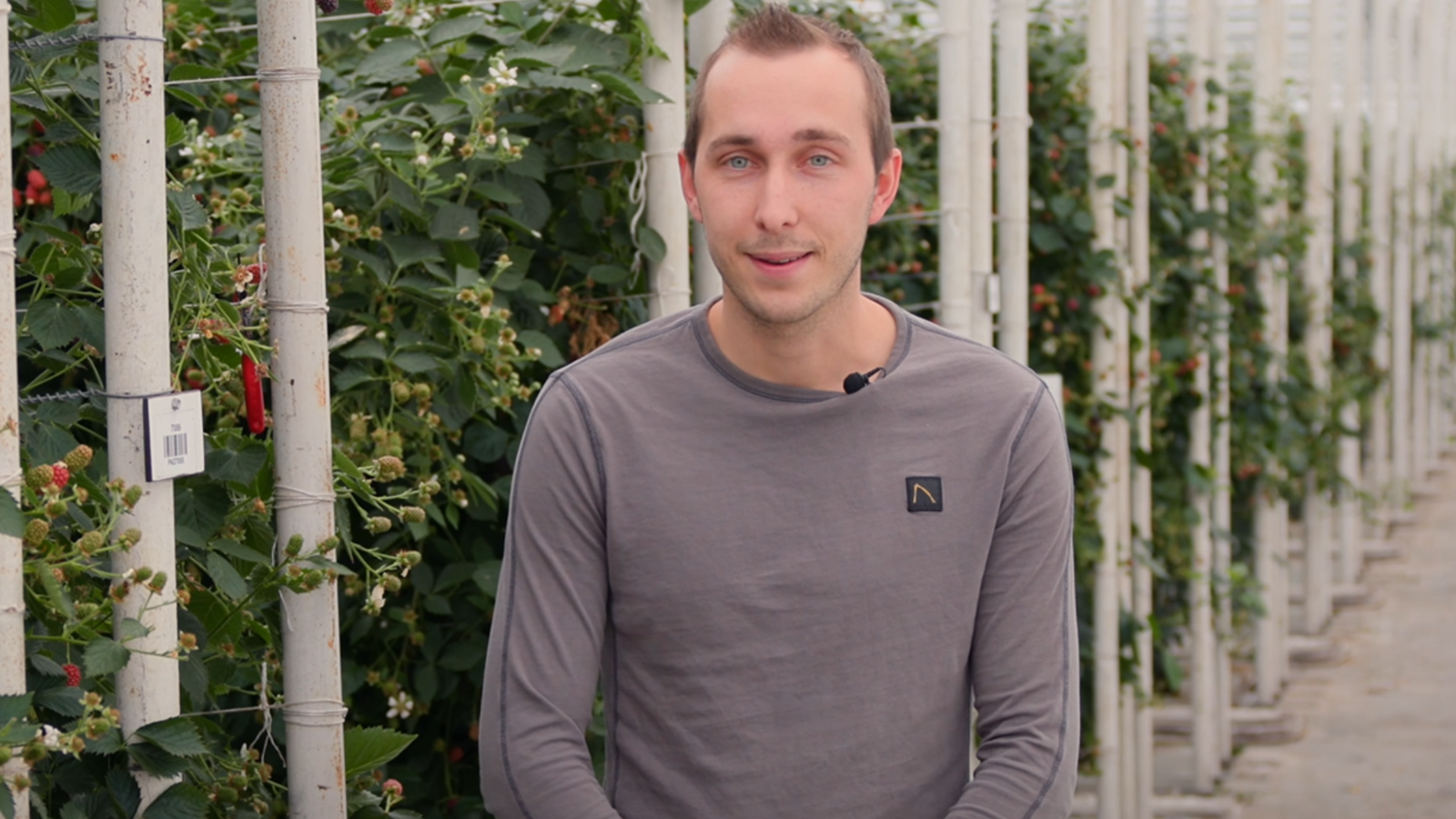 Video: Afgestudeerde Robert aan het woord