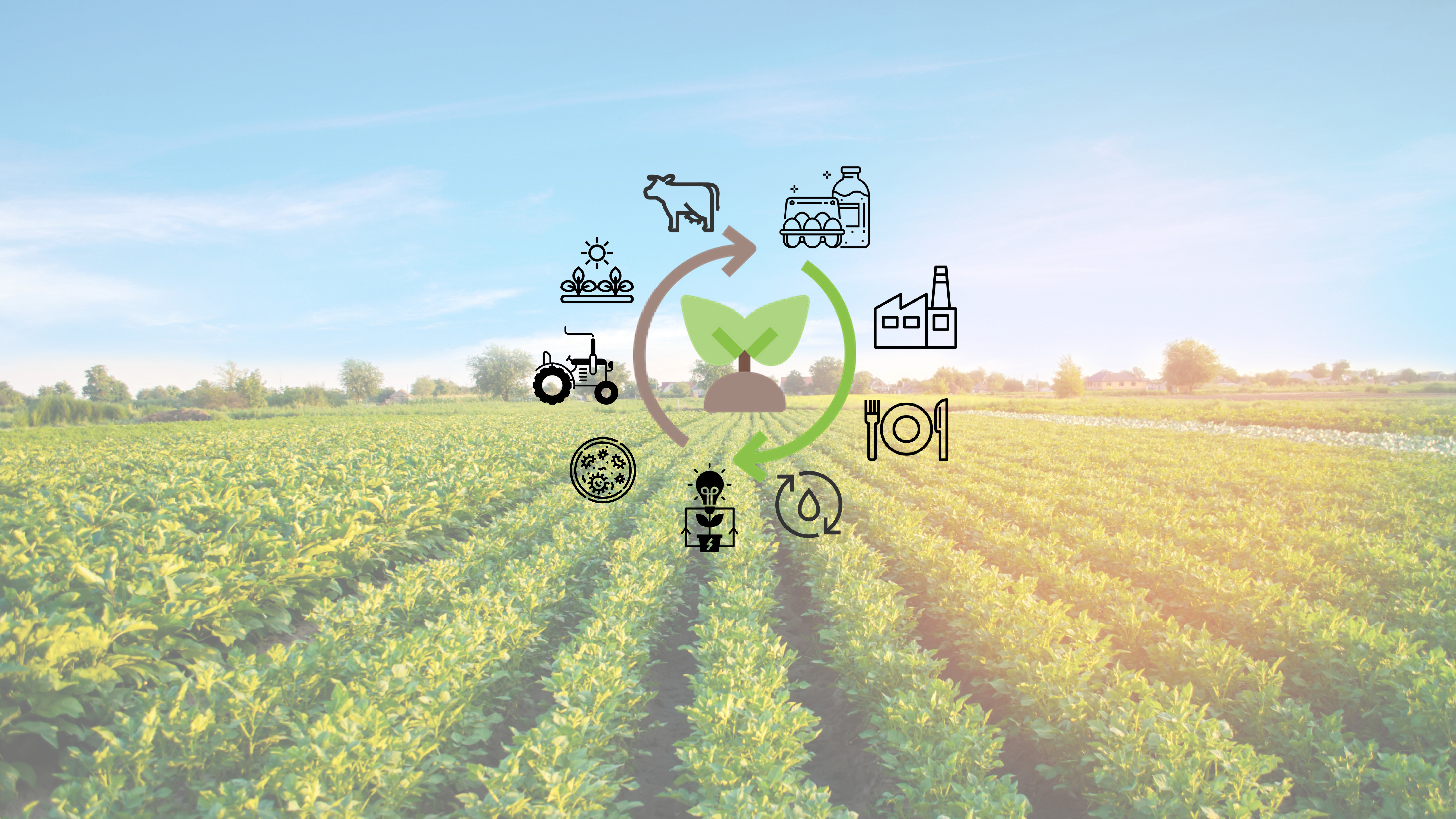 Food Production in a Circular Economy professorship - HAS green academy